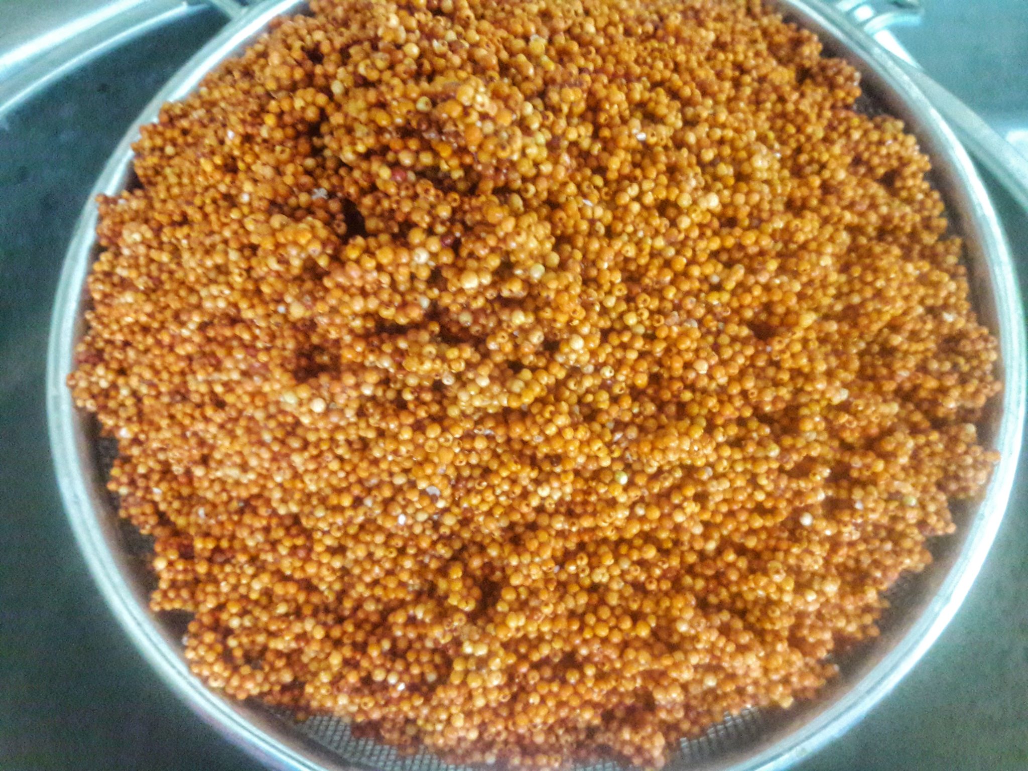 How to prepare homemade sprouted ragi flour? — FORBABYNMOMMY